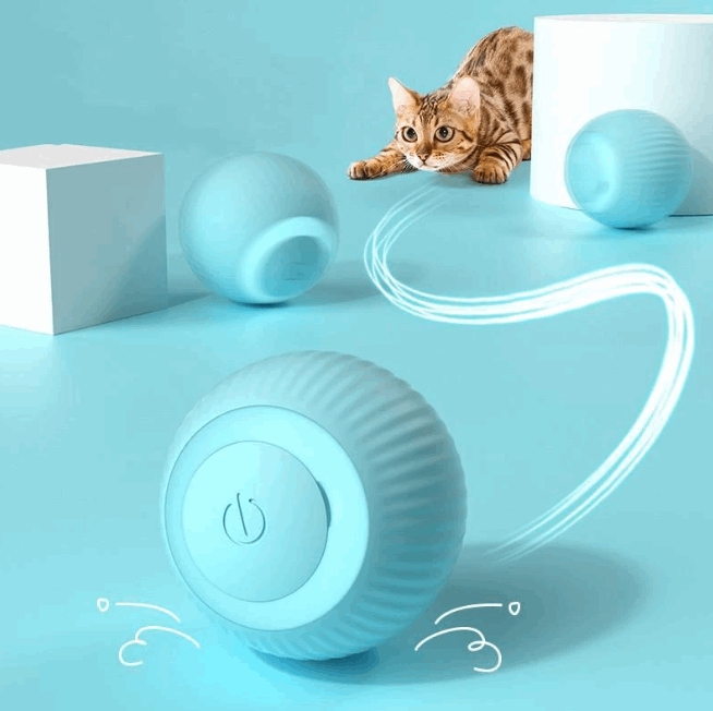Interactive Self Moving Ball – Urban Cat